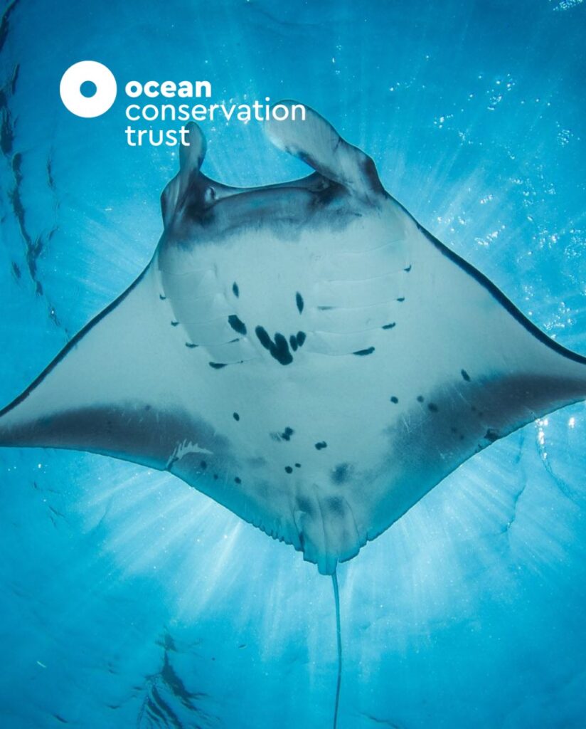Ocean Conservation Trust - The Open Ocean Group